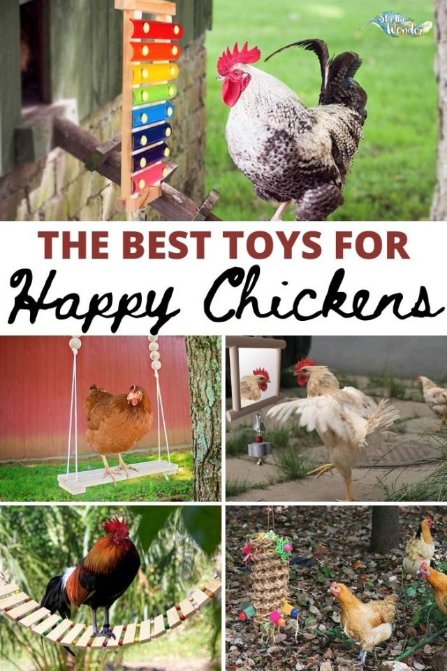 Chick & Chicken Crafts for Kids | Stir The Wonder